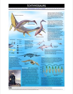 Paleontology Resources